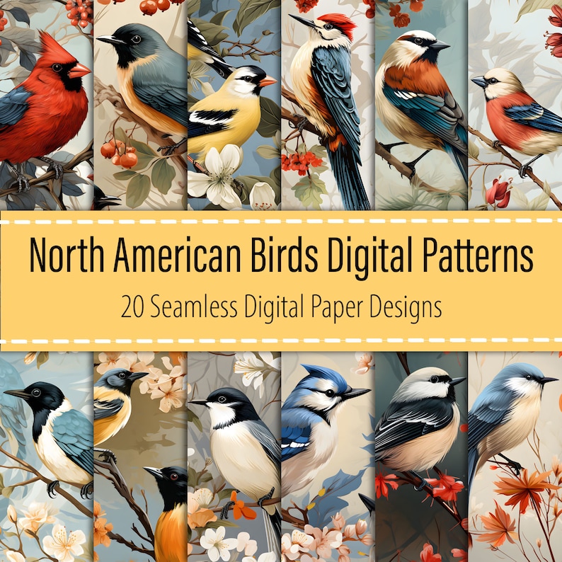 North American Birds 20 Digital Paper Bundle, Birds Seamless Pattern ...