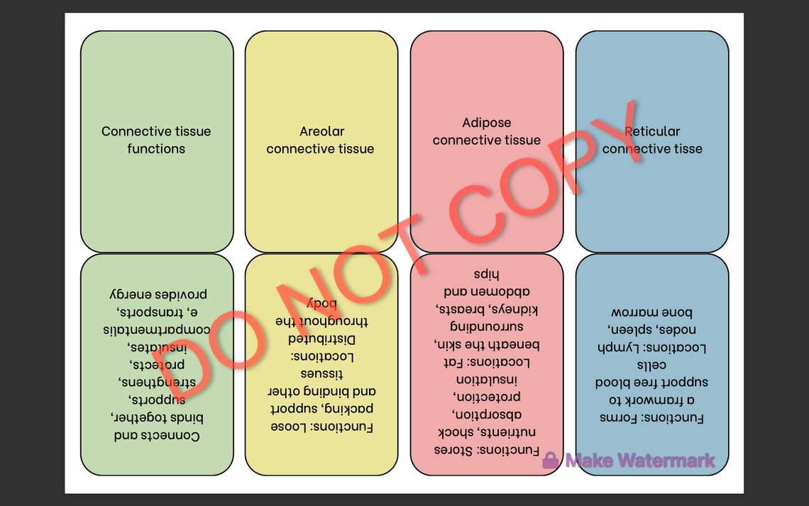 Human Biology Flashcards - Etsy