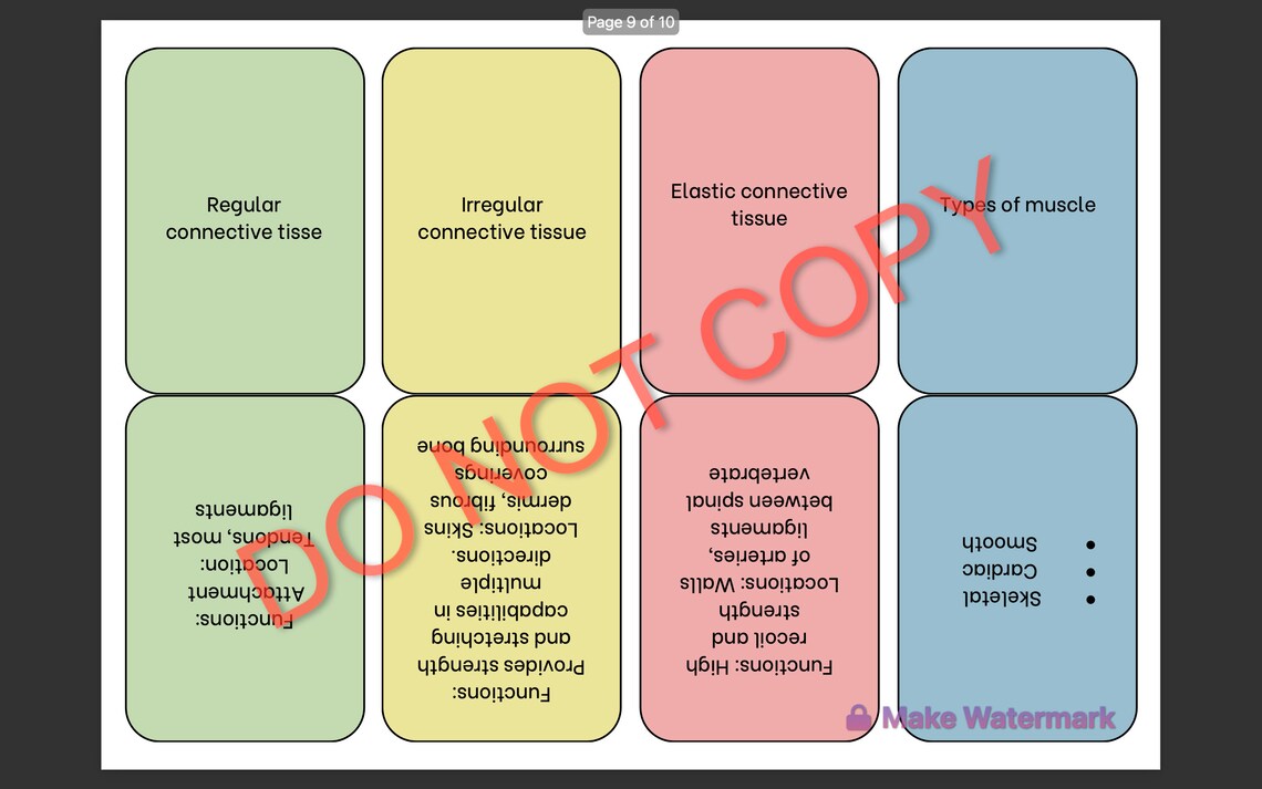 Human Biology Flashcards - Etsy