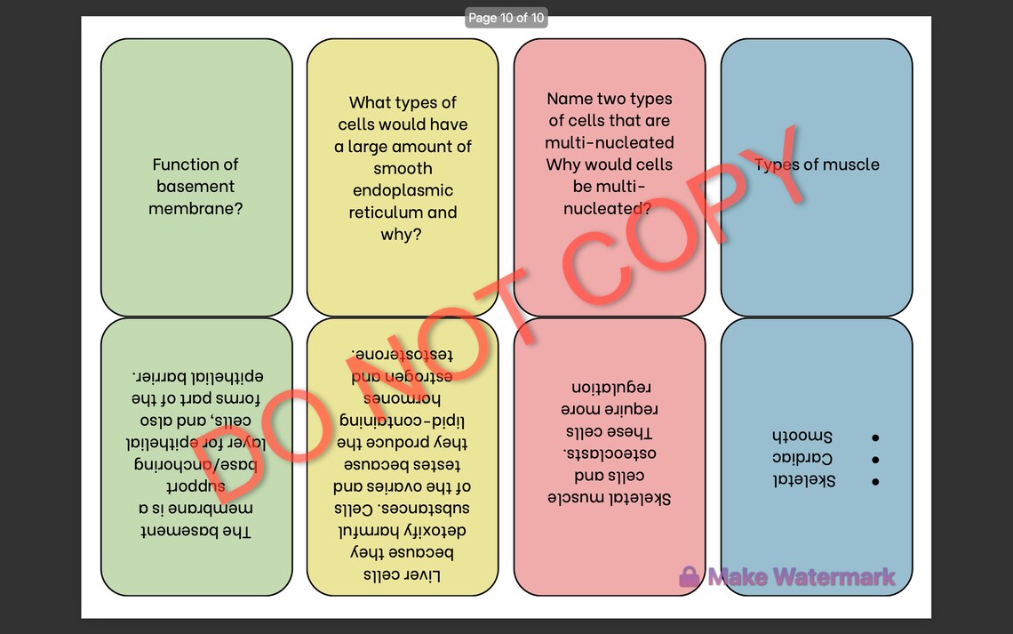 Human Biology Flashcards - Etsy