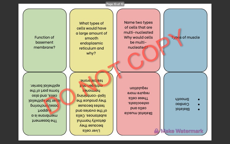 Human Biology Flashcards - Etsy
