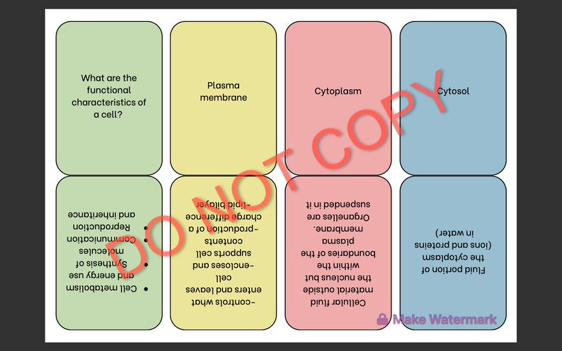 Human Biology Flashcards - Etsy