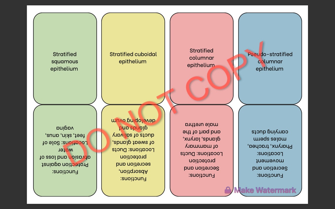 Human Biology Flashcards - Etsy