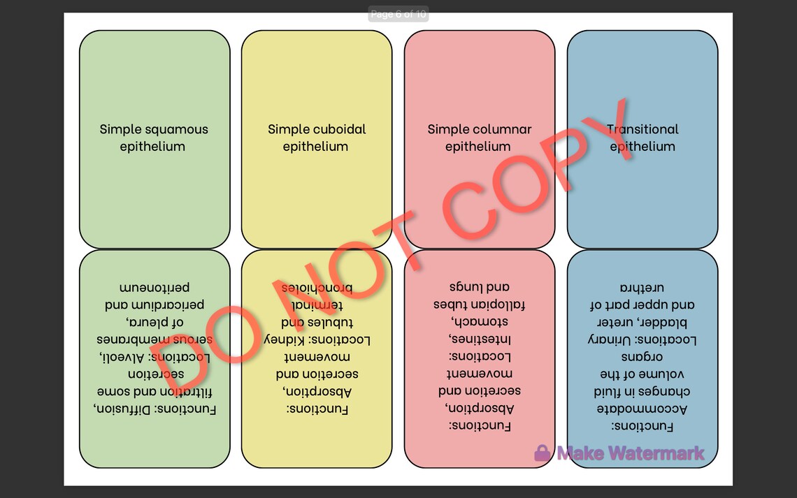Human Biology Flashcards - Etsy