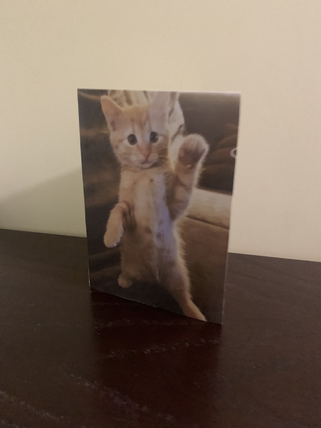 Kitten Themed Birthday Card - Etsy