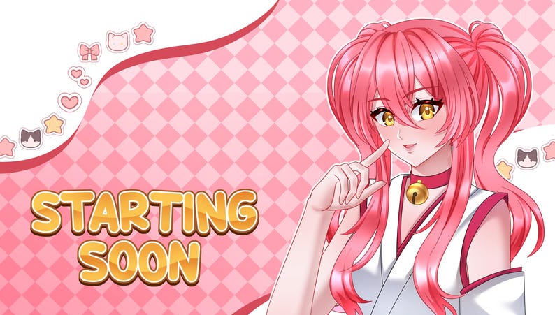 Custom Animated Stream Screen Pack, Twitch Stream Screen, Starting Soon ...