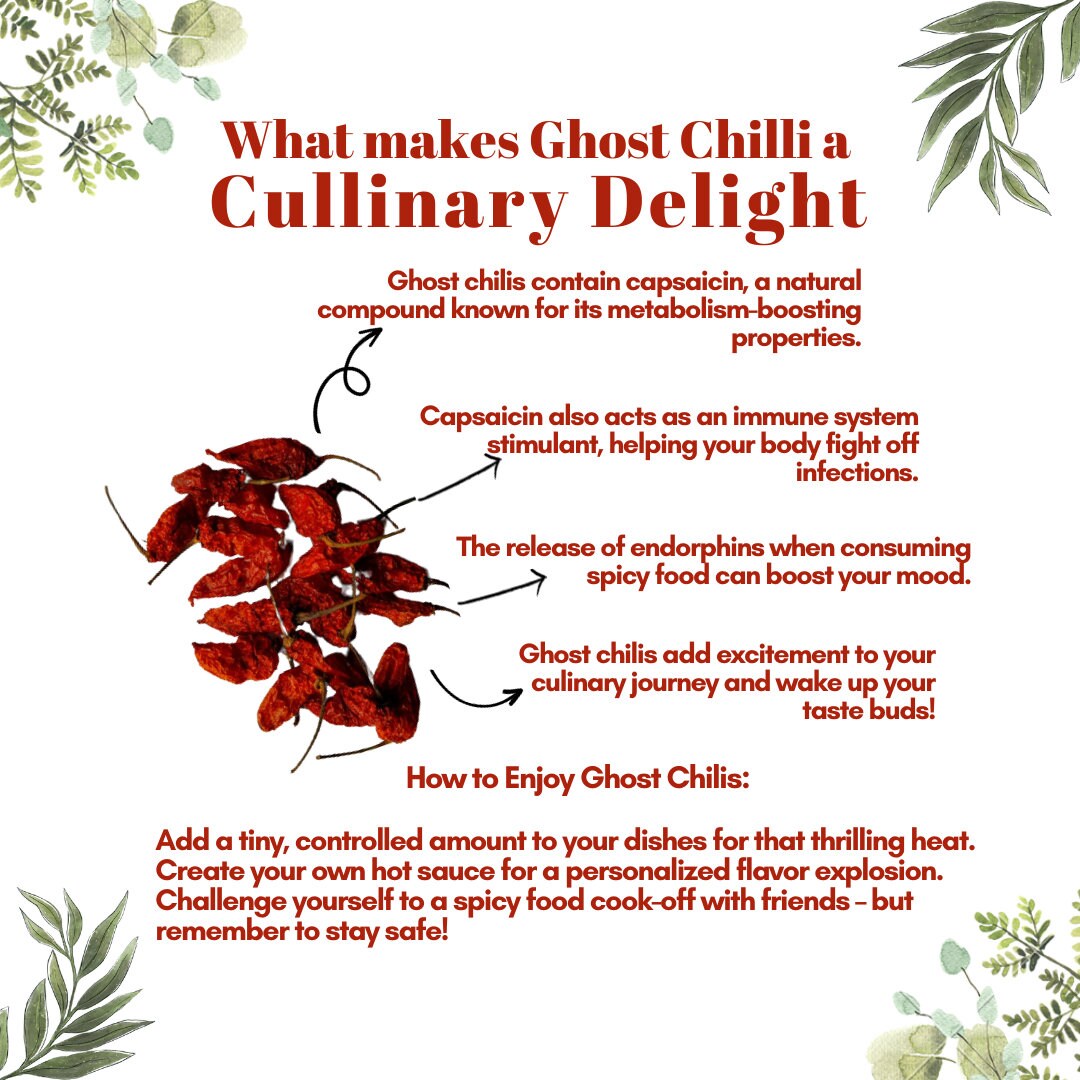 Worlds Hottest Chili Ghost Chili Indian King Chilli Bhoot Jolokia Free ...