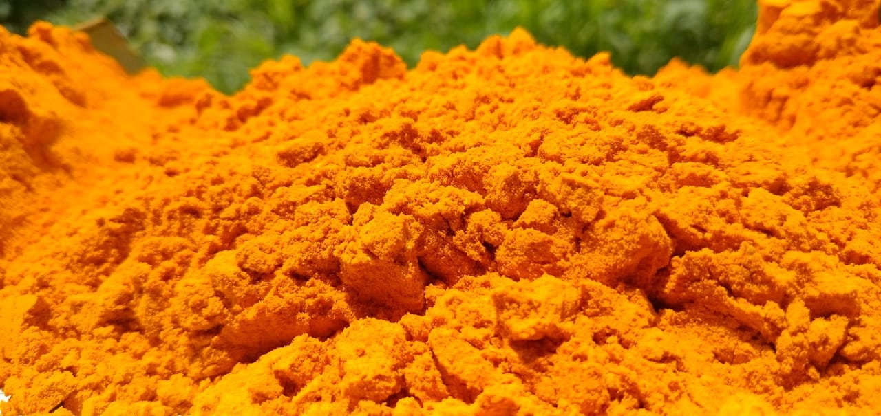 High Curcumin Indian Turmeric Powder Lekadong Region Free Delivery - Etsy