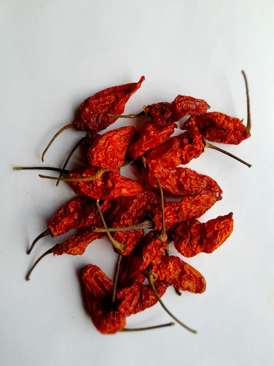 Worlds Hottest Chili Ghost Chili Indian King Chilli Bhoot Jolokia Free ...