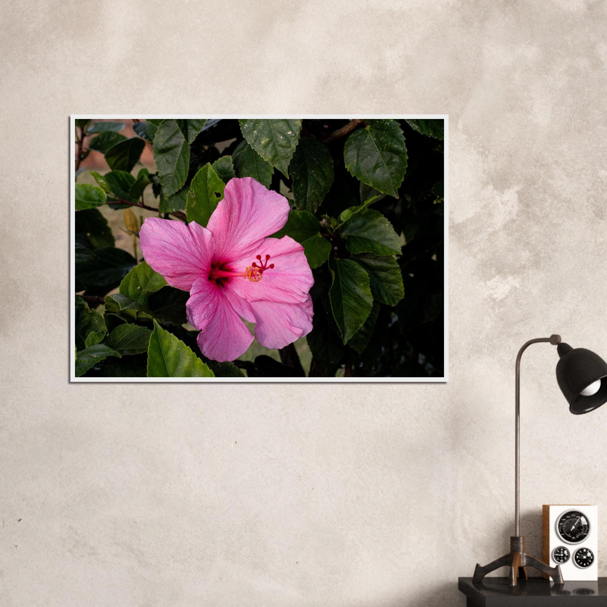 Hawaiian Hibiscus Flower Poster | Pittsburgh Photography | Framed Wall ...