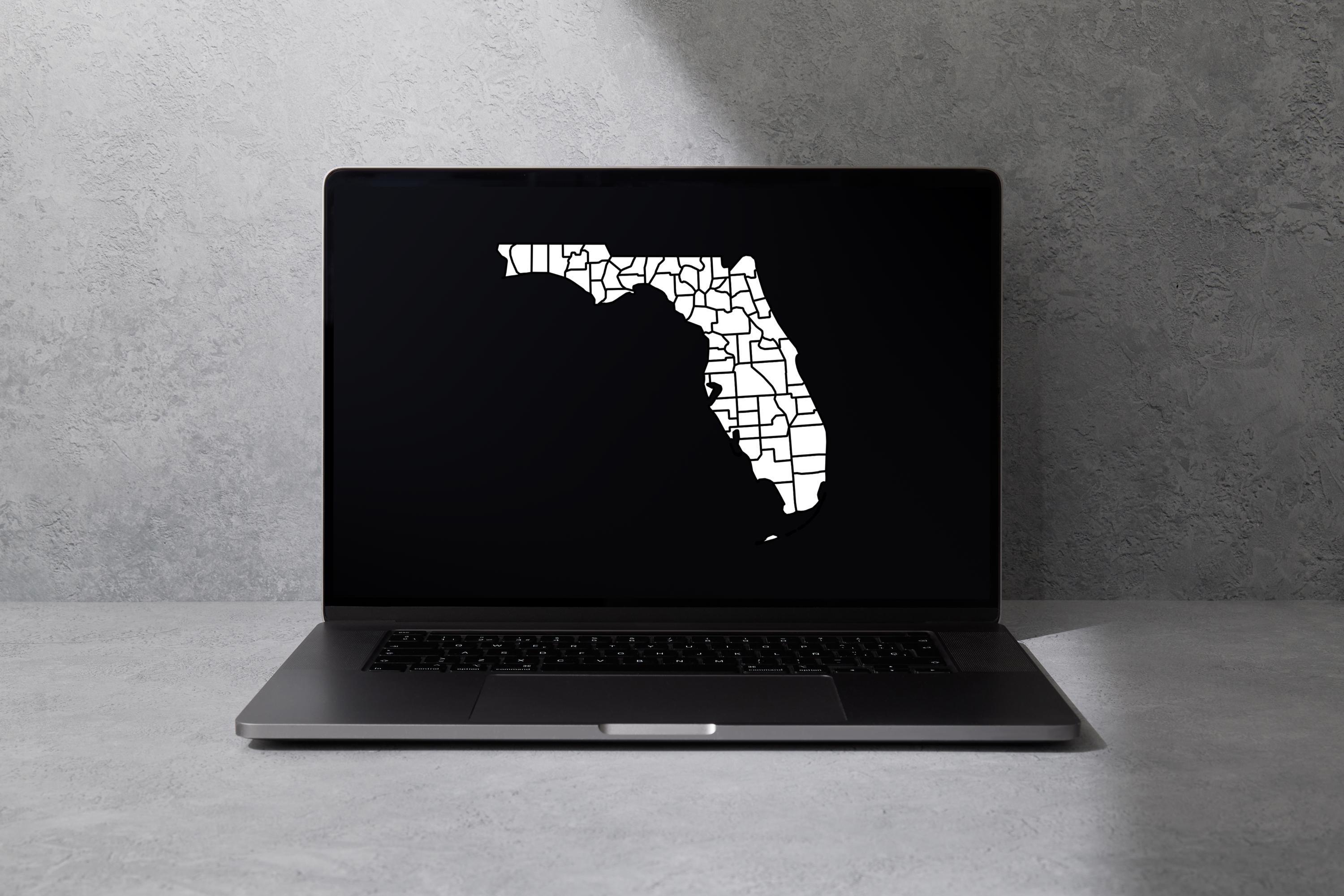 Florida State Map With County Borders Print, Florida State Map Wall Art ...