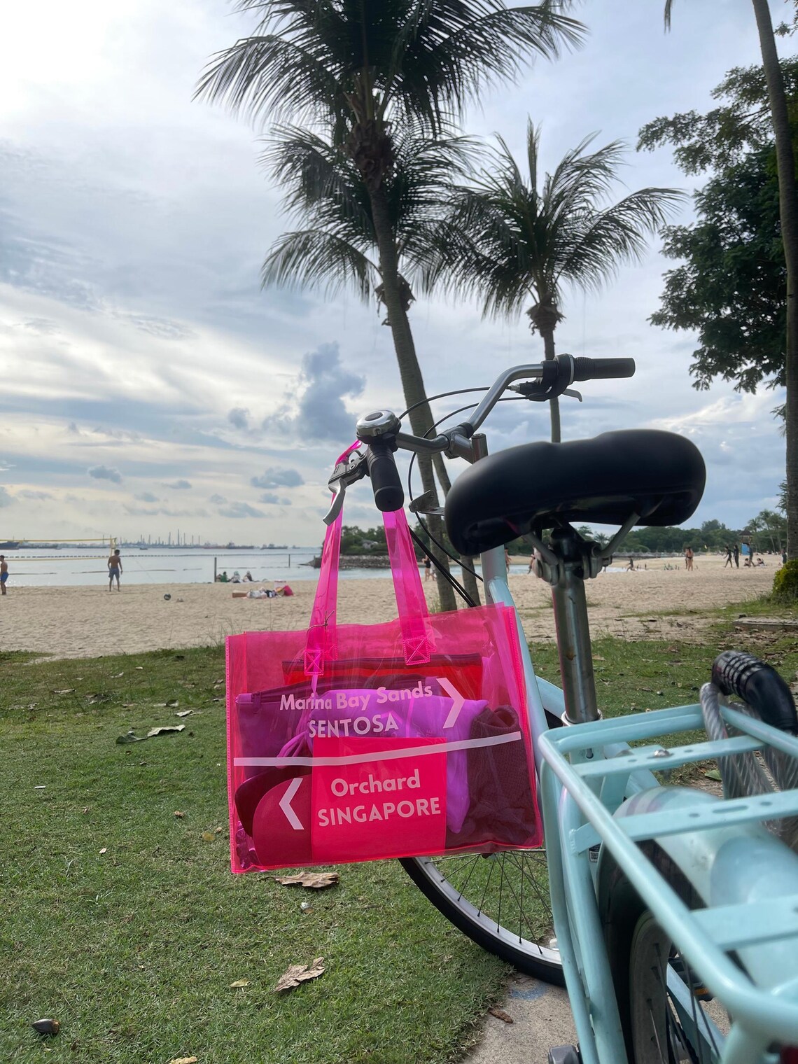 Beach Bag - Transparent and Water Resistant - Singapore Design - Etsy