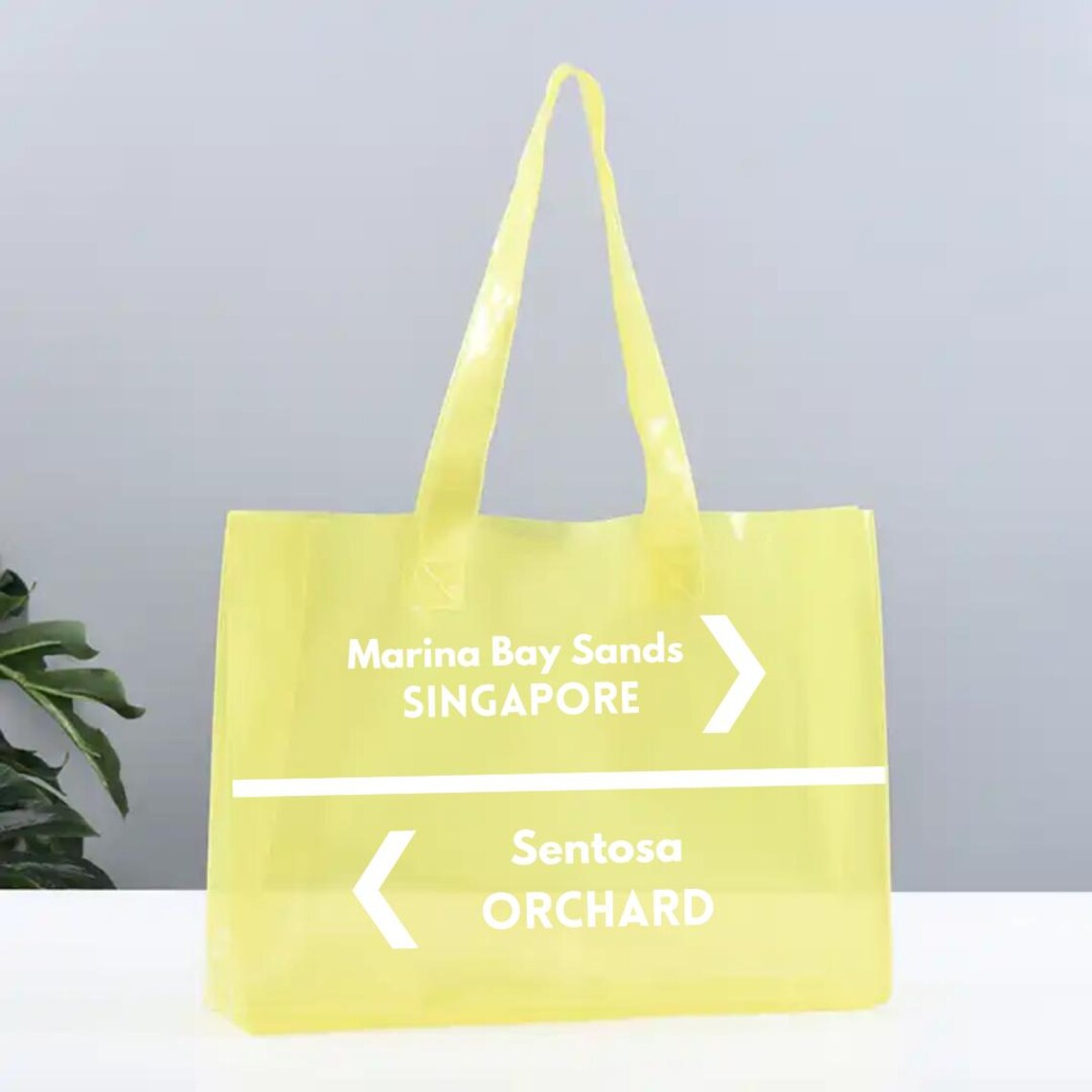 Beach Bag - Transparent and Water Resistant - Singapore Design - Etsy