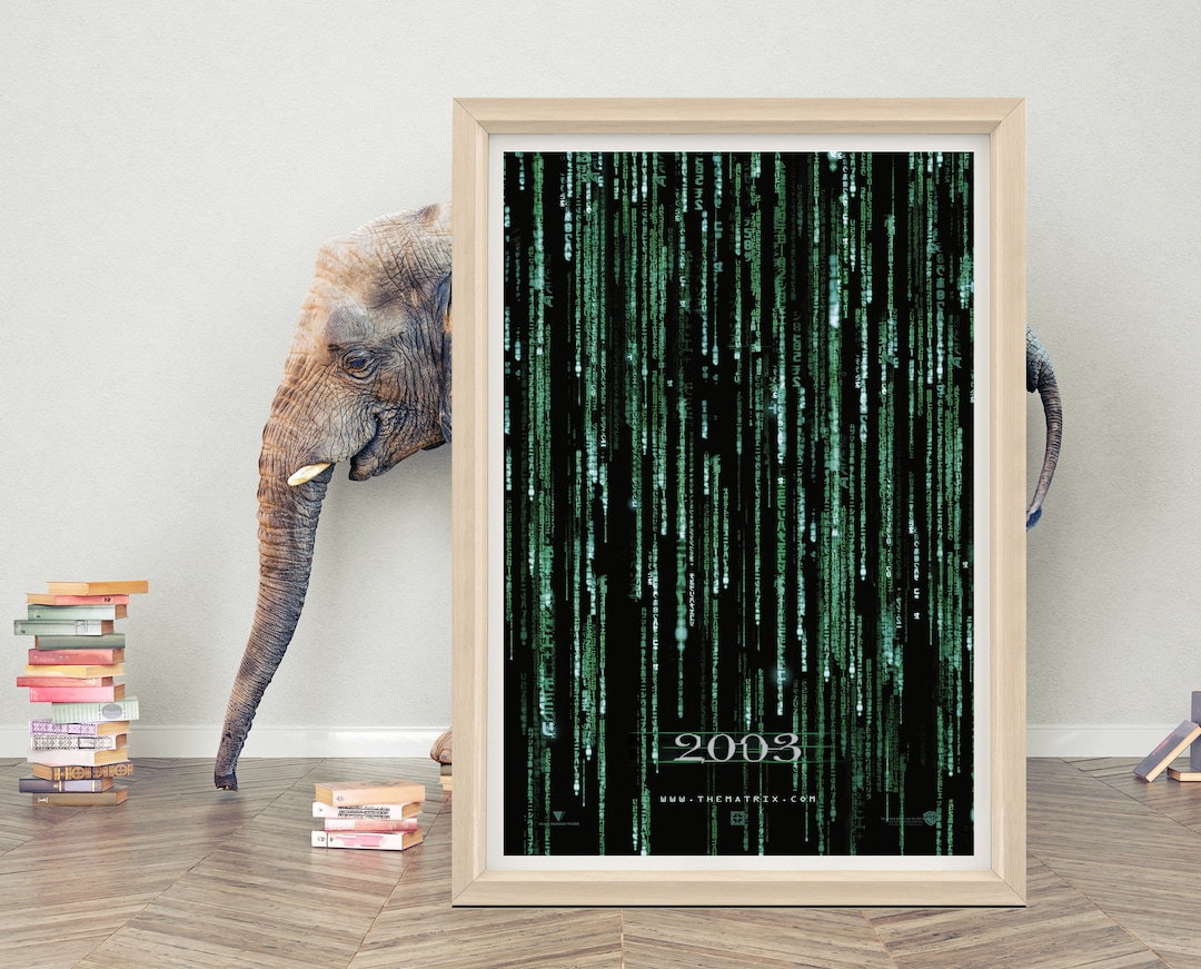 The Matrix Reloaded Poster the Matrix Reloaded Classic Movie Poster ...