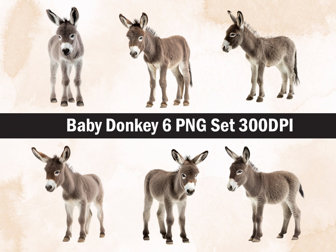 Baby Donkey PNG Sublimation Design,donkey Png,donkey Illustration ...