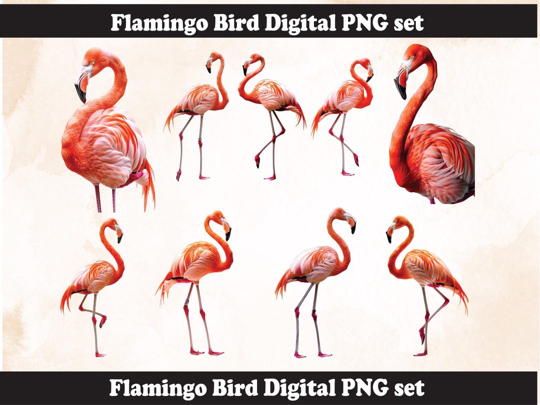 Flamingo PNG | Printable DIY Template Htv | Sublimation File (digital ...