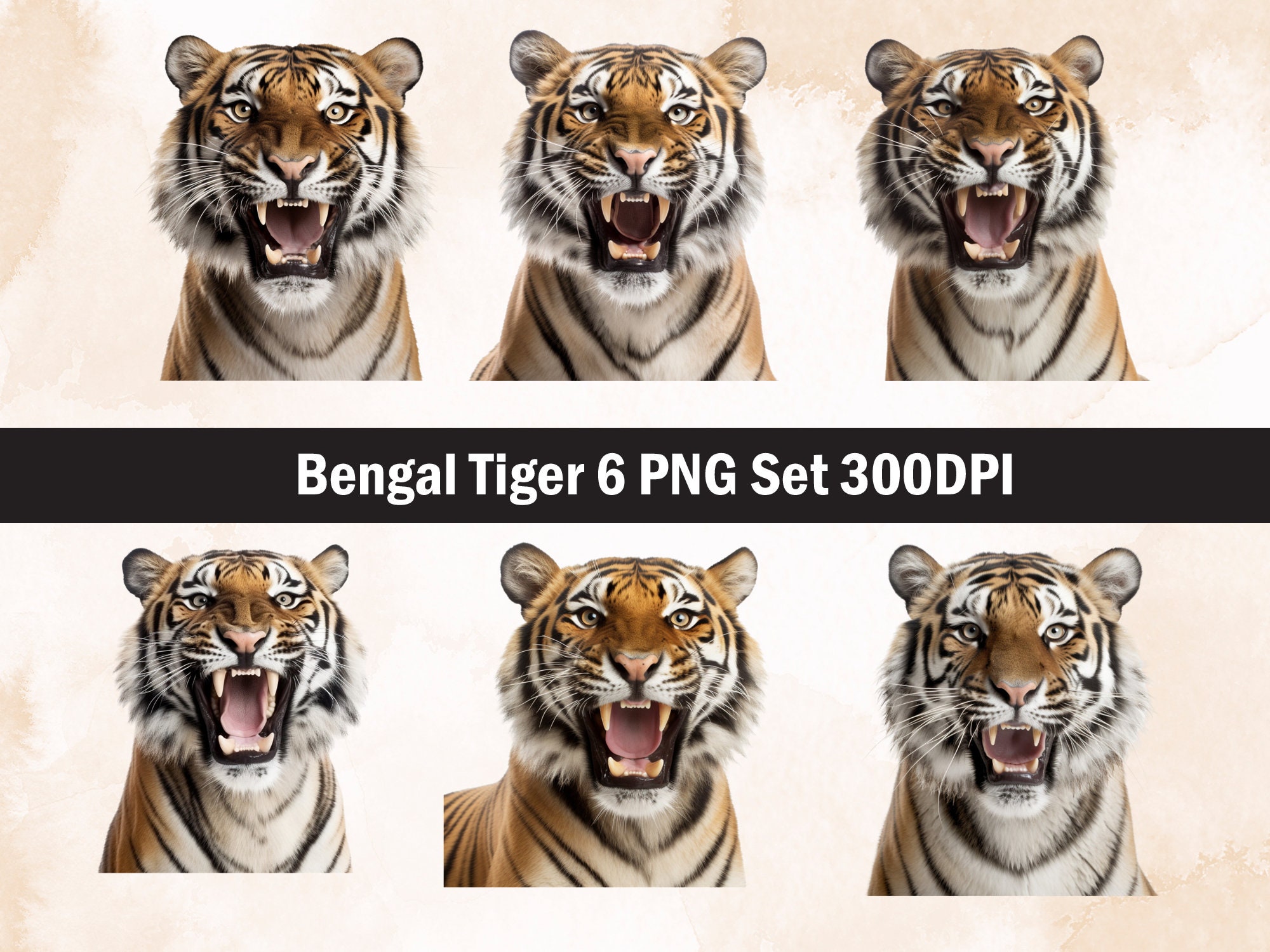 Tiger PNG Sublimation Designtiger Pngtiger - Etsy