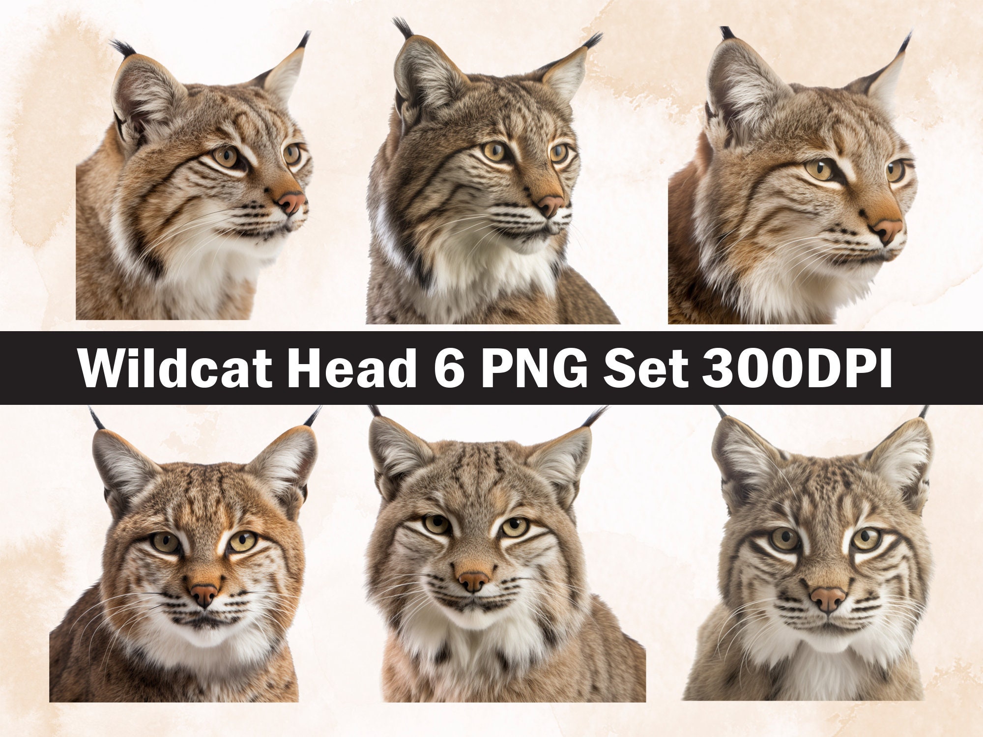 Wildcat Head PNG Sublimation Design,wildcat Png,wildcat Illustration ...