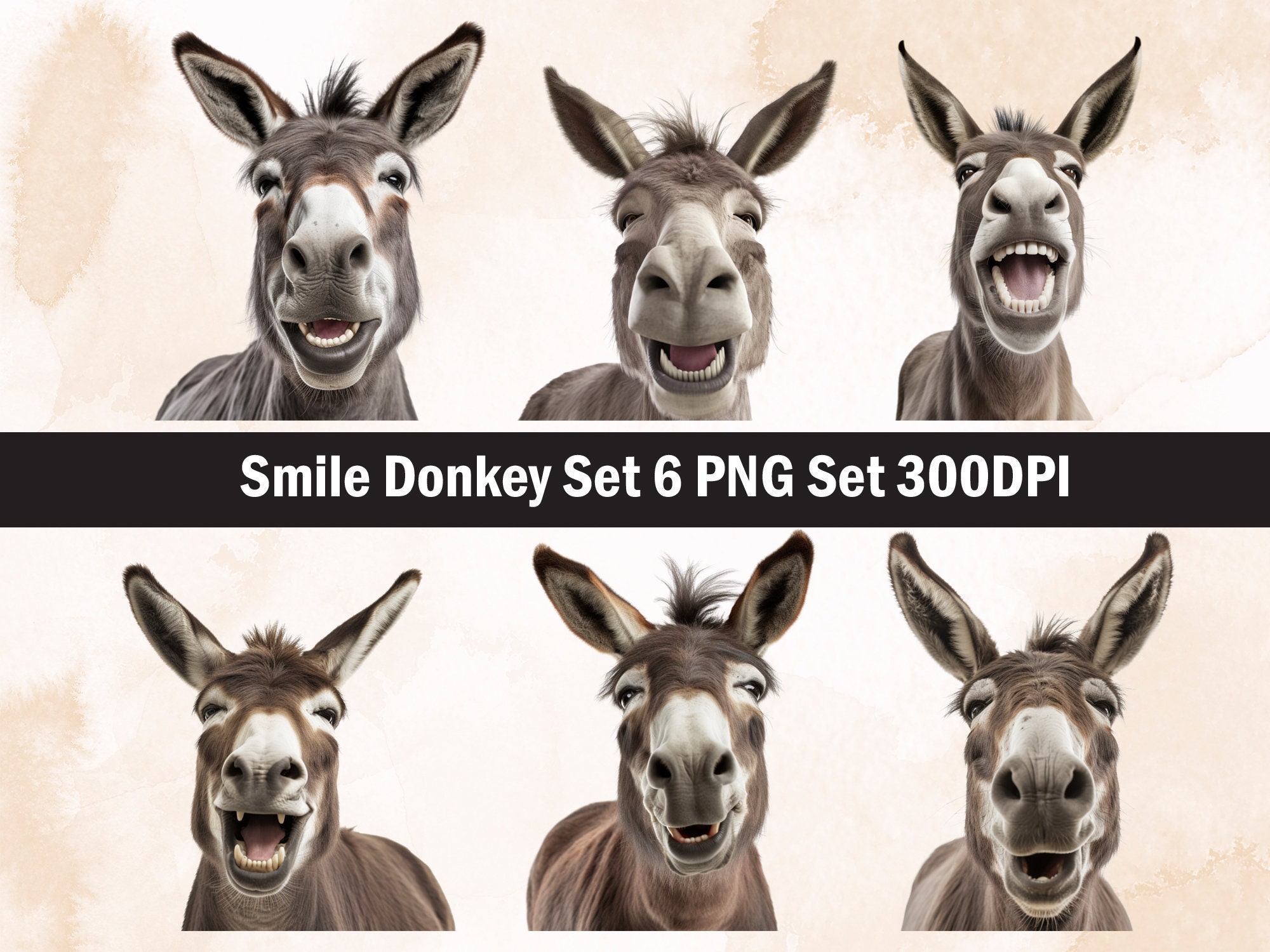 Donkey Face Smiling