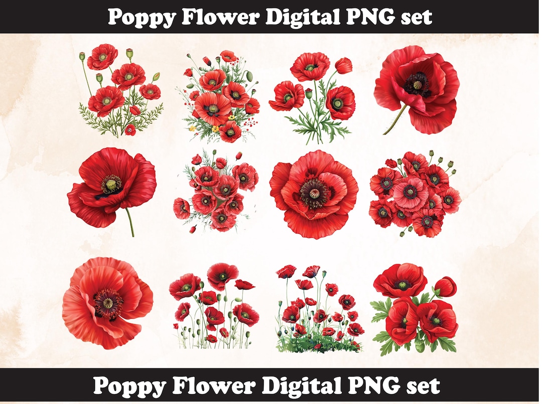 Poppy Flower PNG | Printable DIY Template Htv | Sublimation File ...