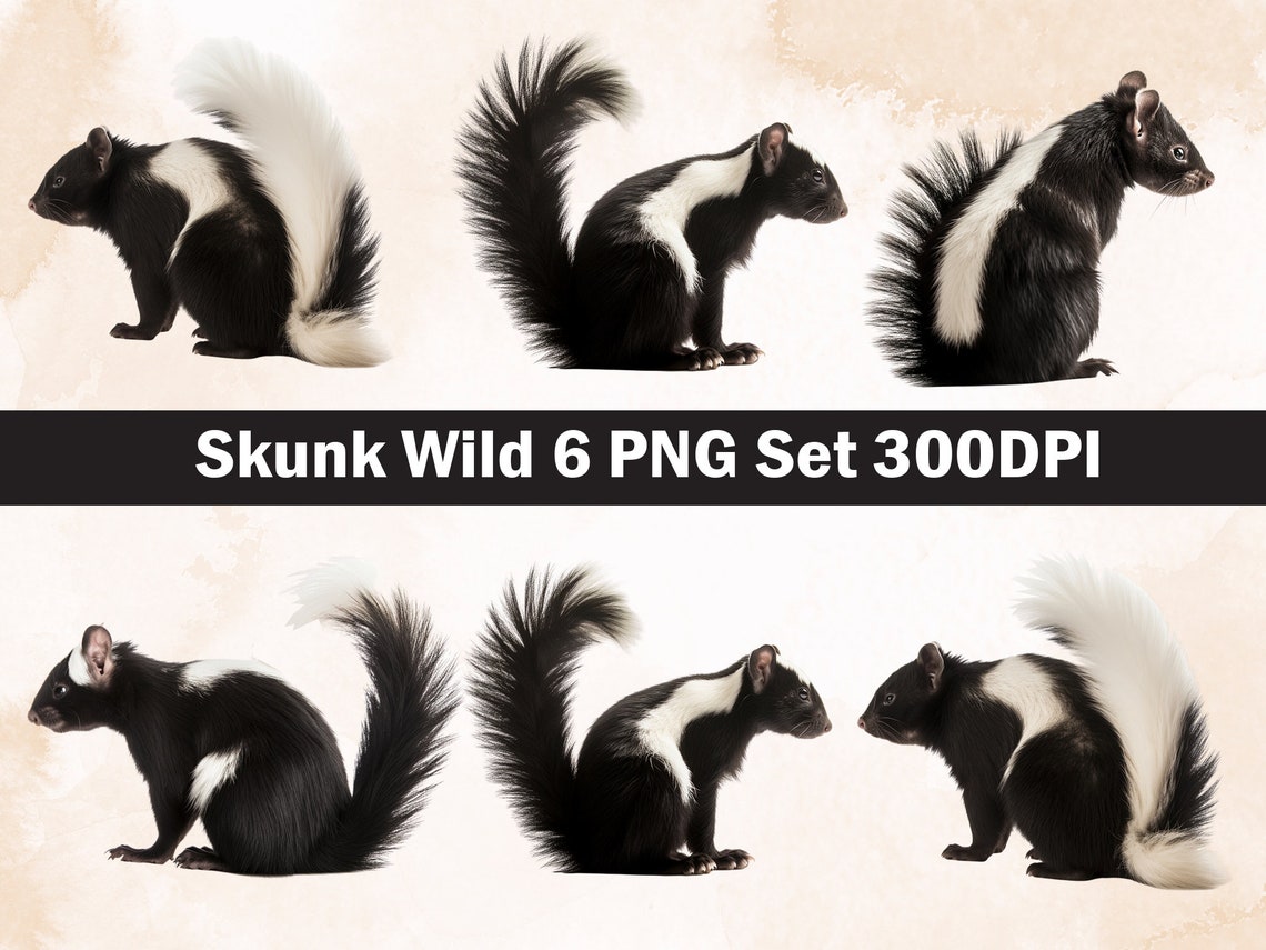 Skunk PNG Sublimation Design,skunk Png,skunk Illustration,digital ...