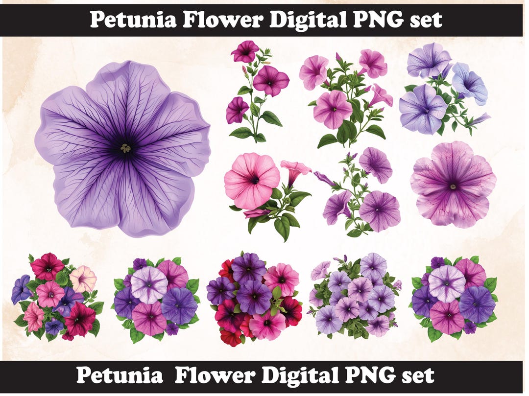 Petunia Flower PNG | Printable DIY Template Htv | Sublimation File ...