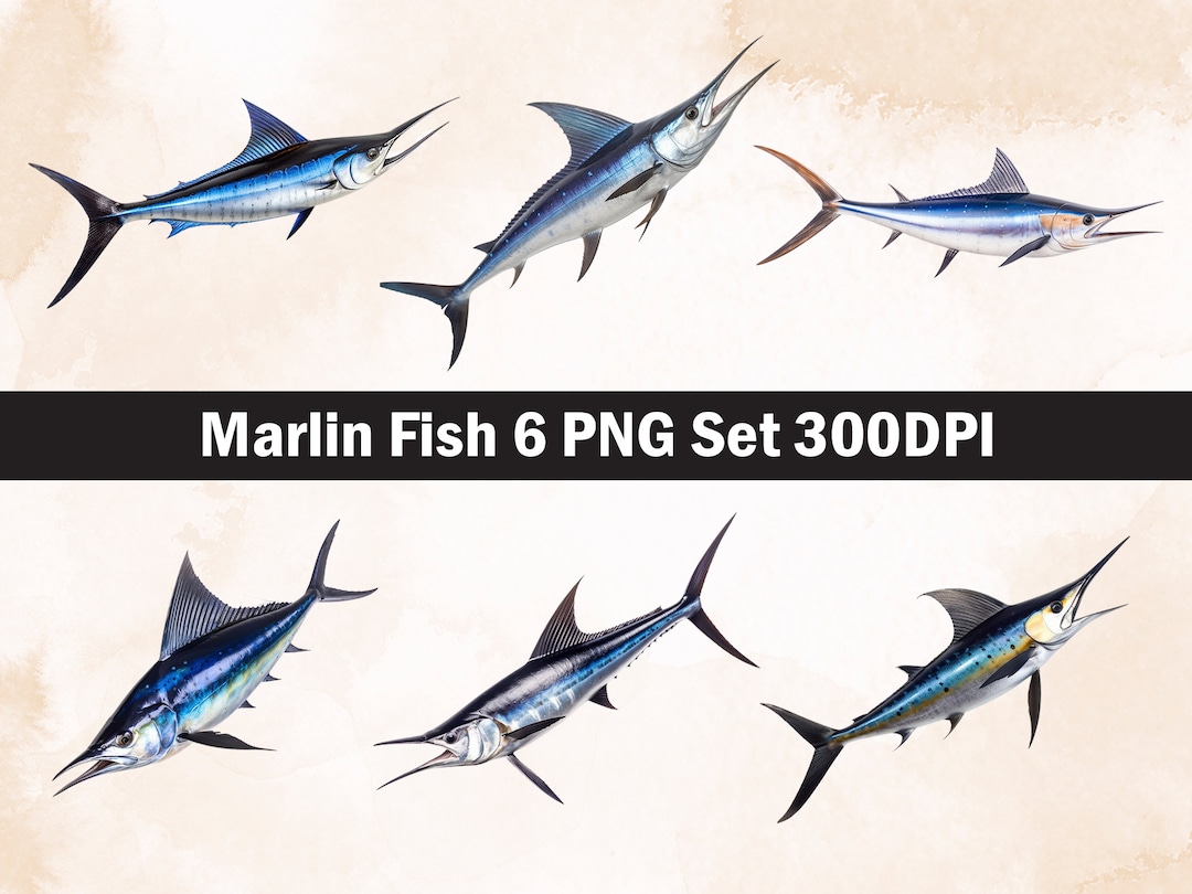 Marlin Fish PNG Sublimation Design,fish Png,fish Illustration,digital ...
