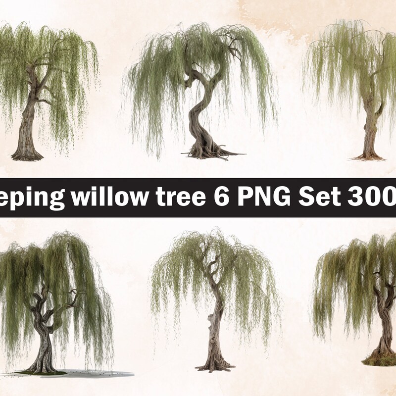 Willow Tree Design - Etsy
