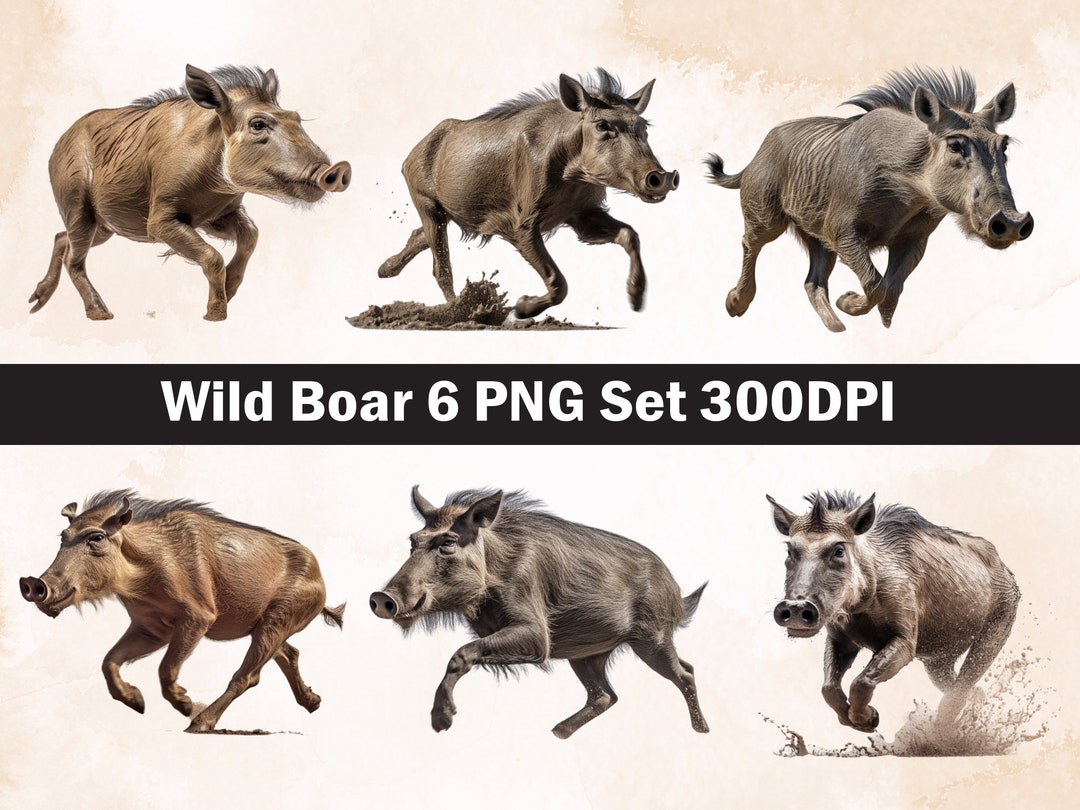 Wild Boar PNG Sublimation Design,boar Png,boar Illustration,digital ...