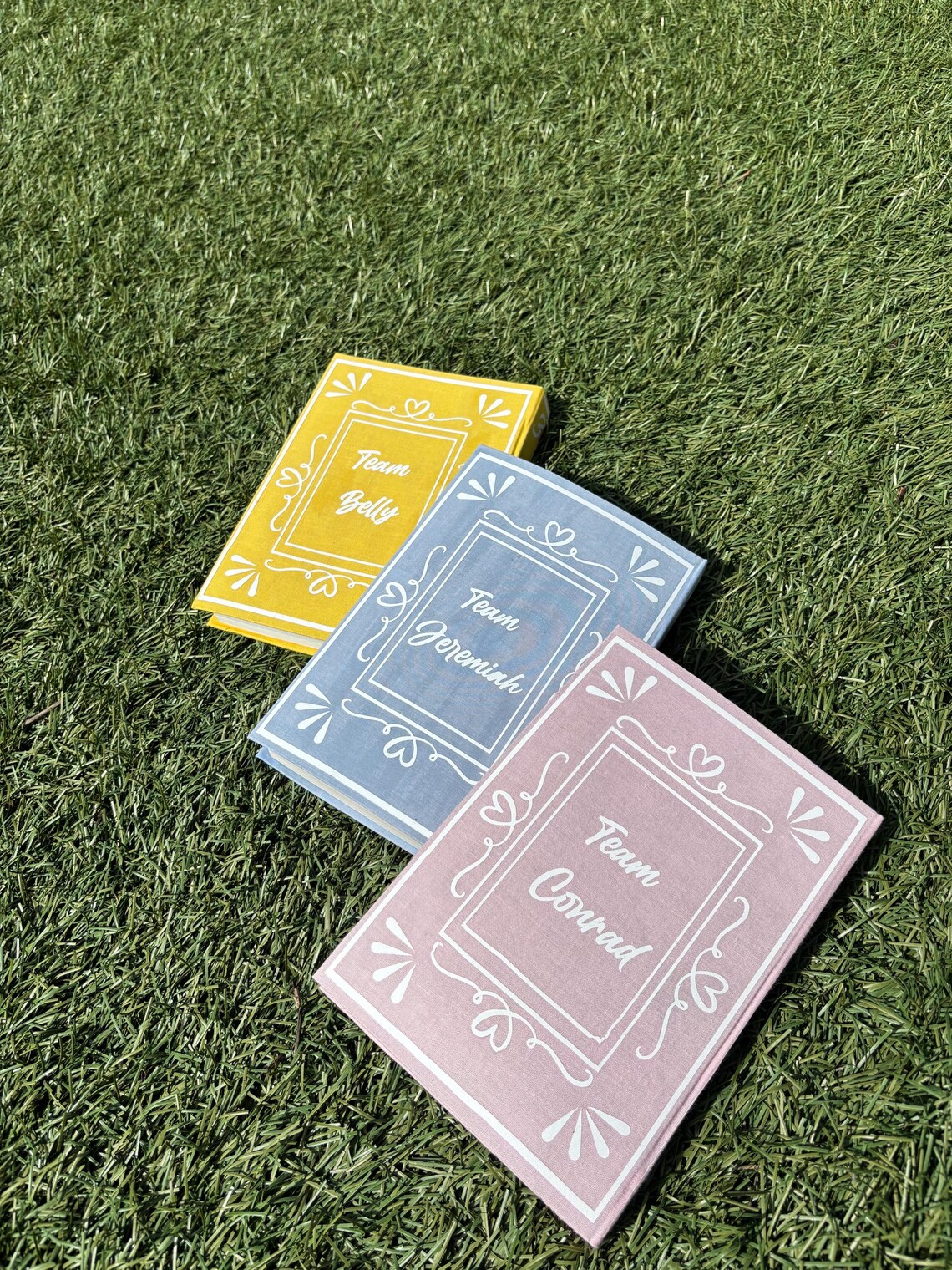 The Summer I Turned Pretty the Complete Series Special Edition Rebinded ...