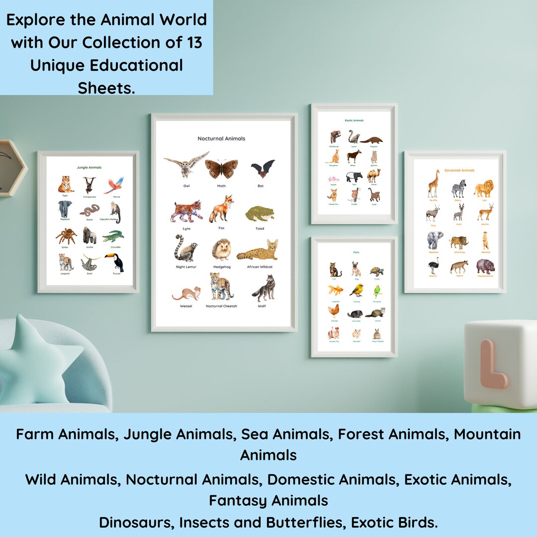 Set of 13 Educational Animal Posters Printable Posters Downloadable PDF ...