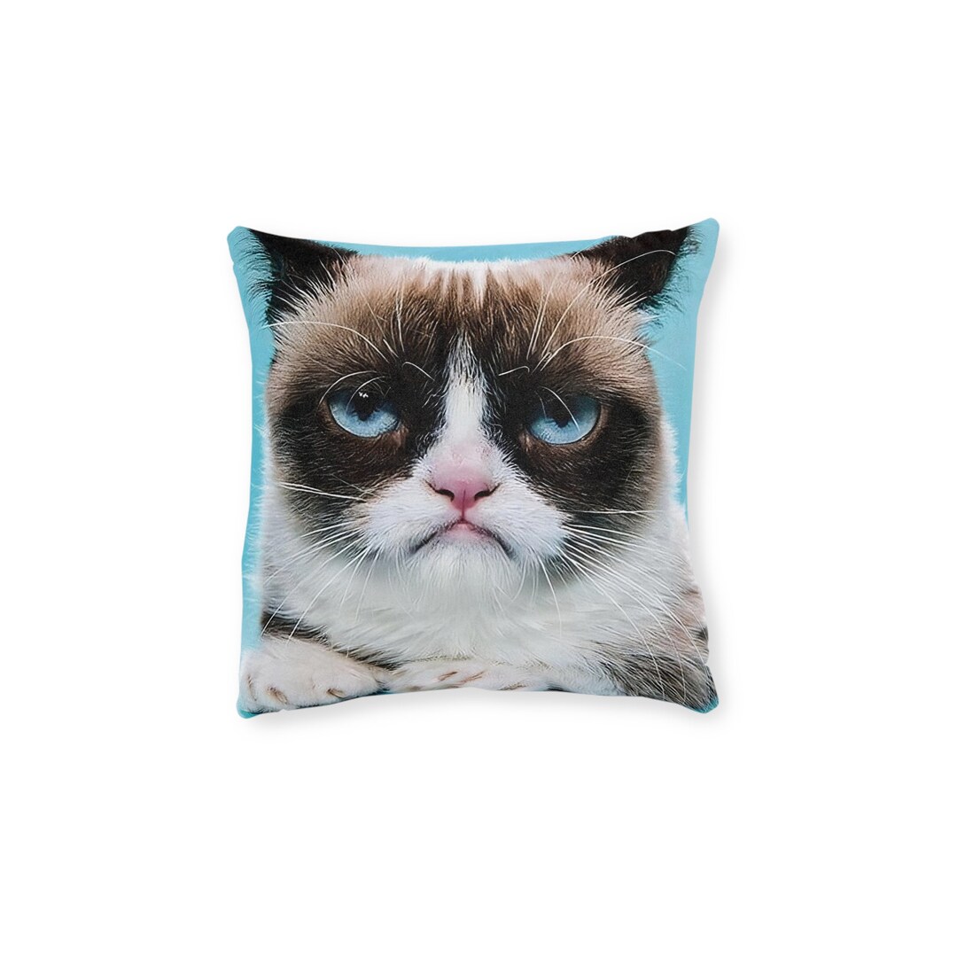 Meme Pillow Grumpy Cat Meme Decor Pillowcase Filling Gift Idea 30 X 30 ...