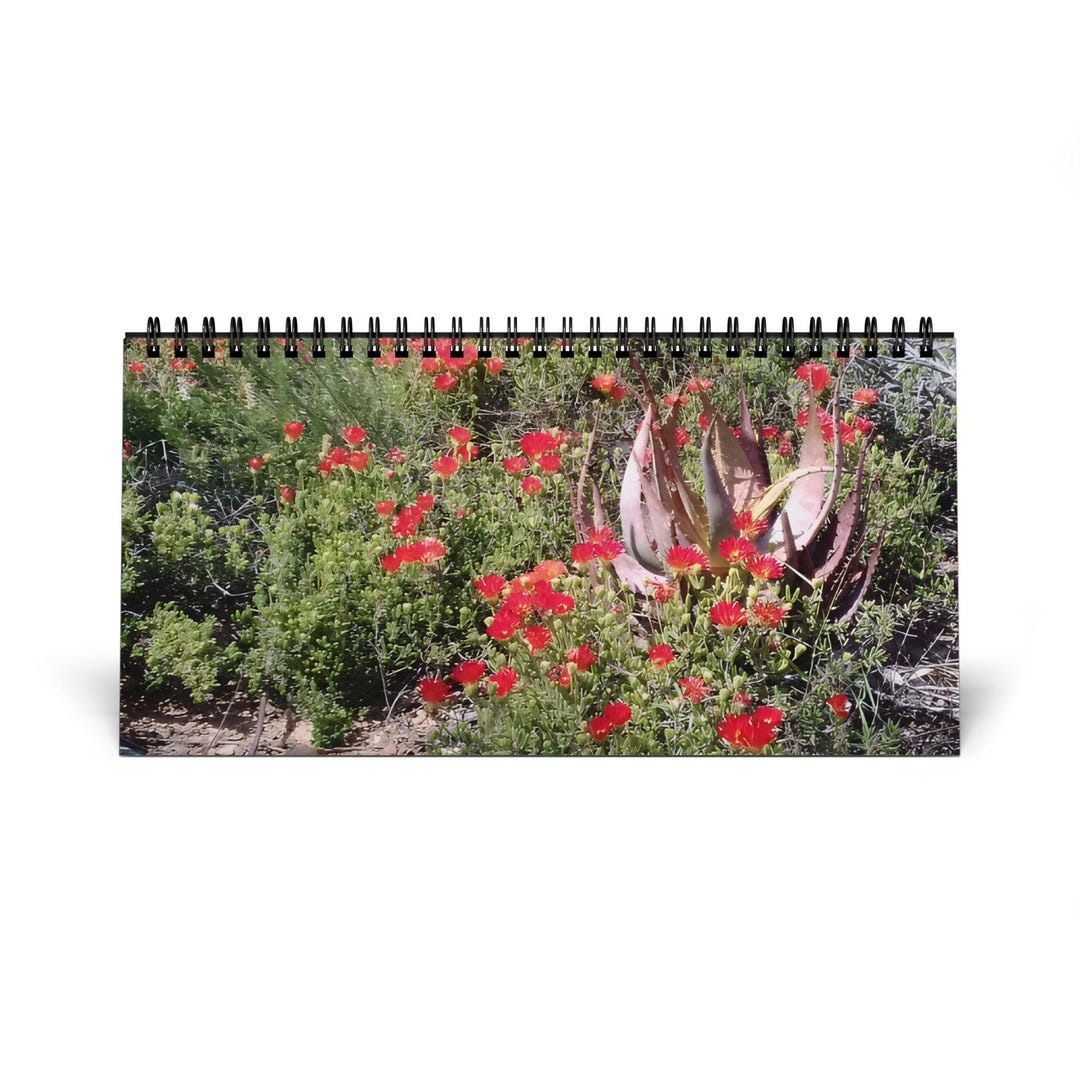 Botanical Inspired Desktop Calendar 2025, Put Colors on Your Desk With ...