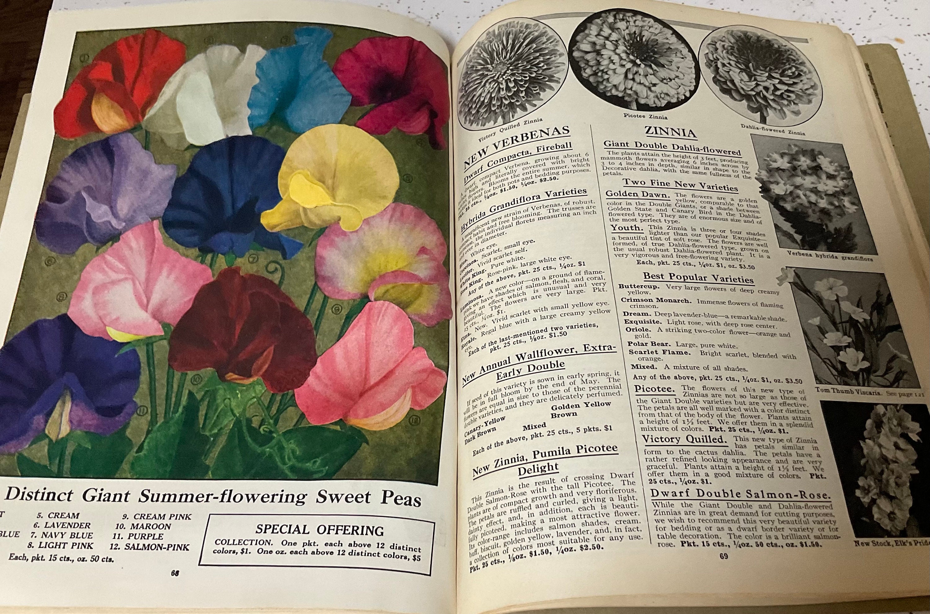 1930 Stumpp & Walter Company Seed Flower Annual Catalog Barclay Street ...