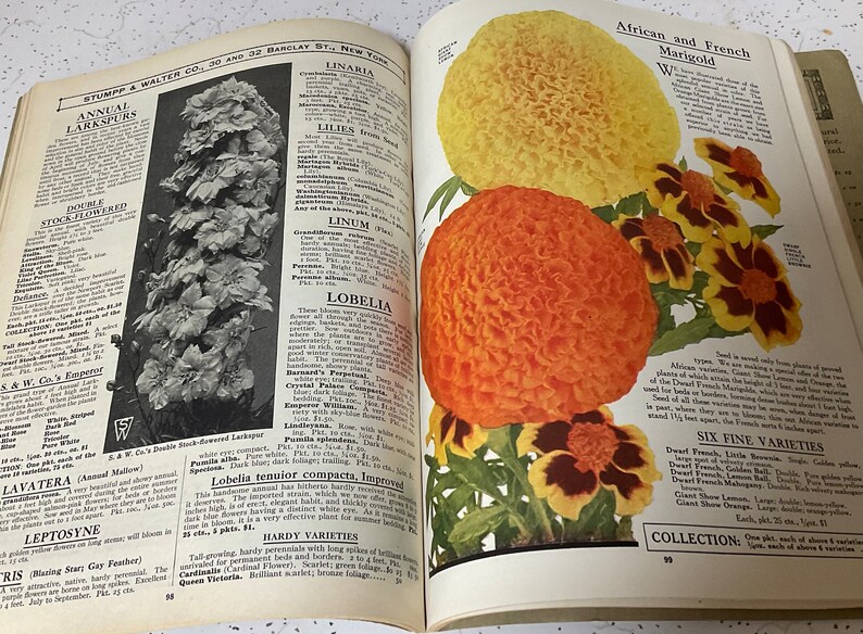 1930 Stumpp & Walter Company Seed Flower Annual Catalog Barclay Street ...