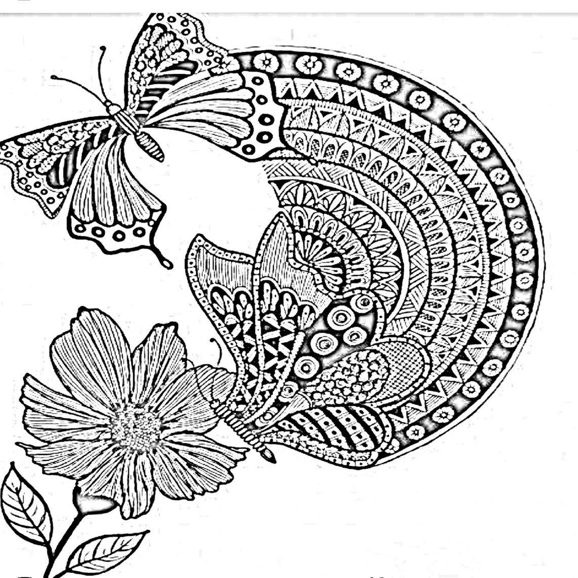 Coloring Pages for Instant Download - Etsy