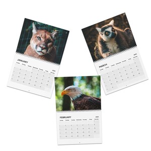 2025 Wildlife Photography Wall Calendar Red Panda, Mountain Lion ...