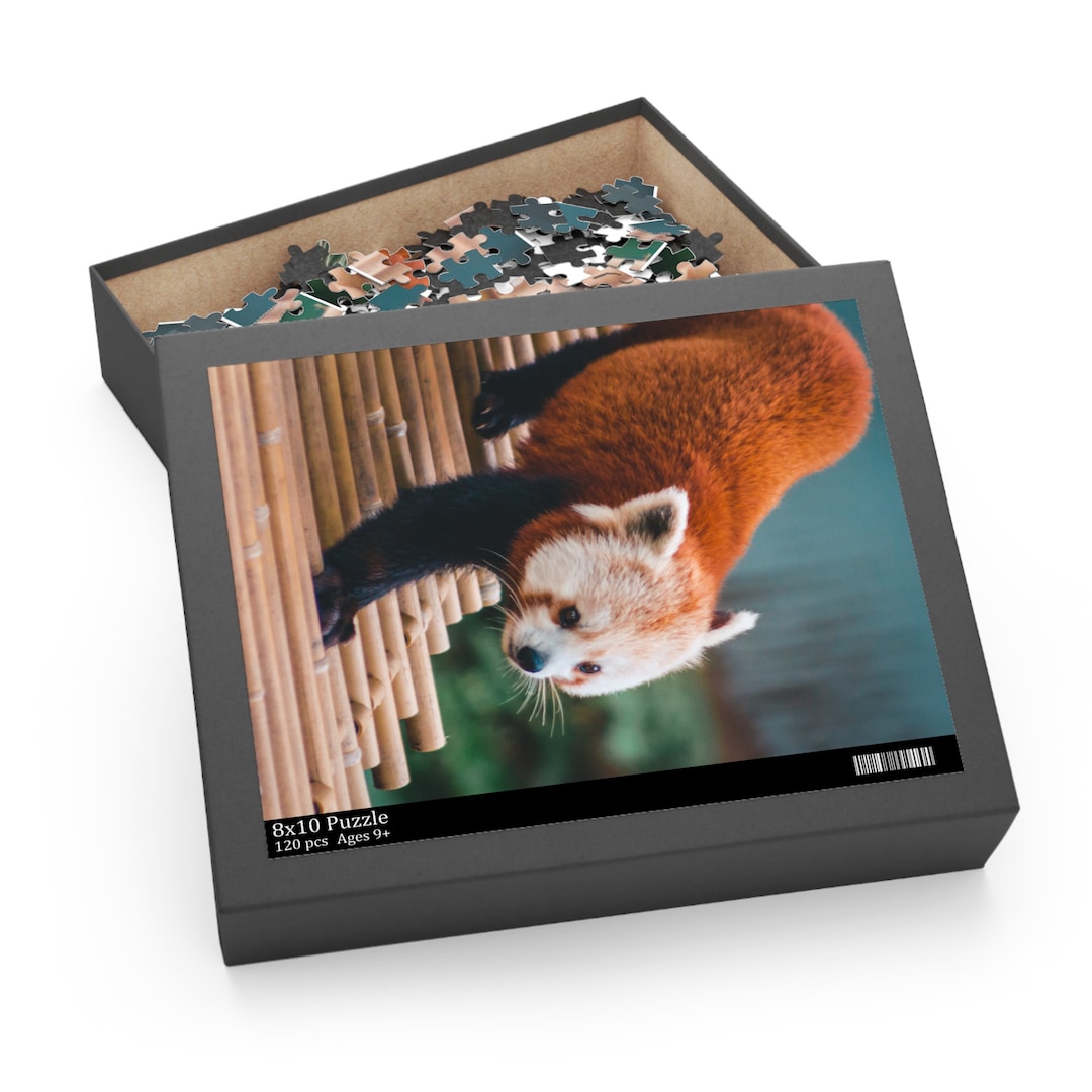 Captivating Red Panda Jigsaw Puzzle (120, 252, 500-piece) - Etsy