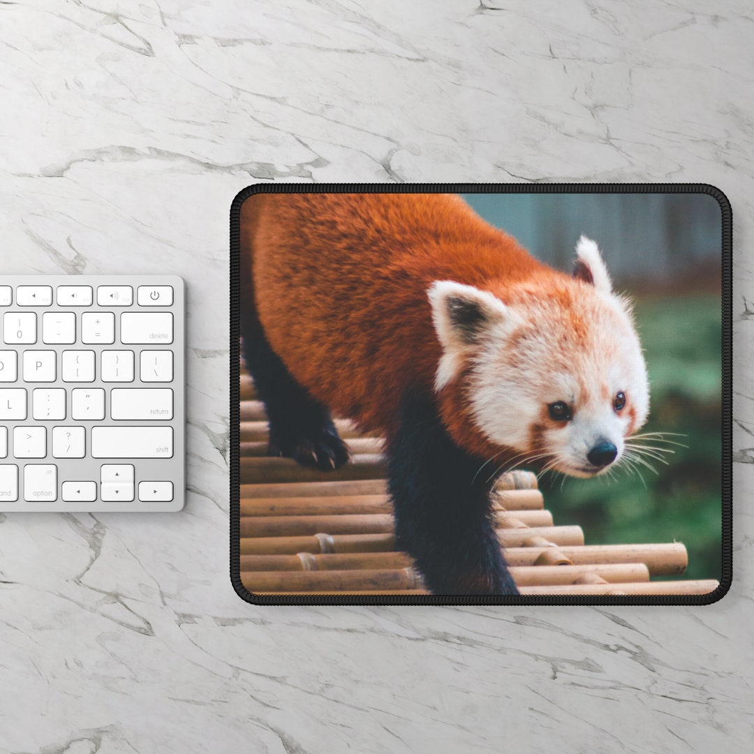 Adorable Red Panda Mouse Pad - Captivating Bridge Climb in Michigan Zoo ...