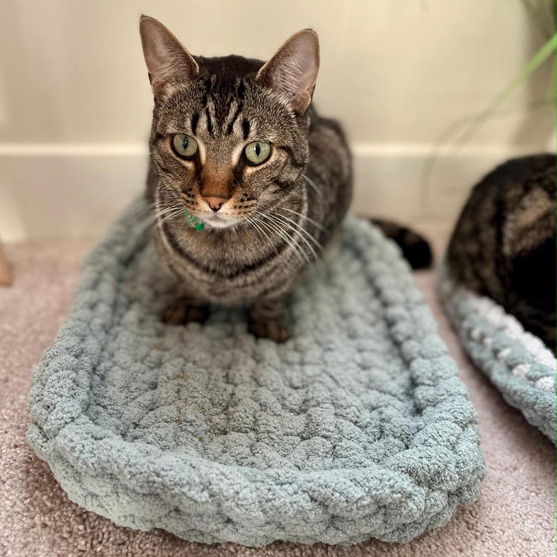 Handmade Catnip Bed - Etsy
