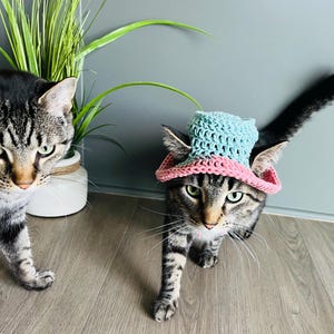 Crochet Pattern Summer Cat Bucket Hat Easy Beginner Crochet Cat Hat ...