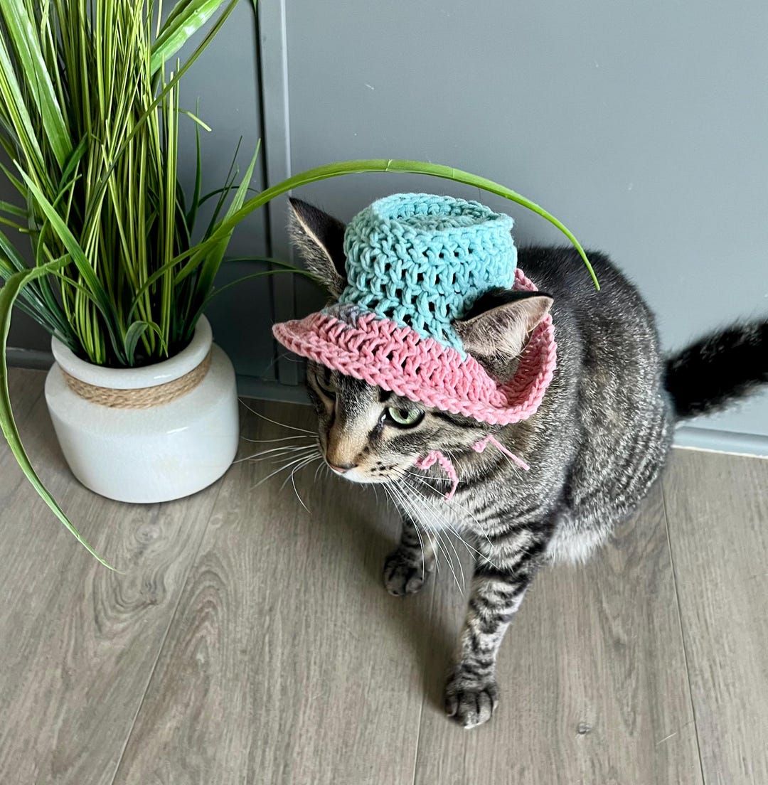 Crochet Pattern Summer Cat Bucket Hat Easy Beginner Crochet Cat Hat ...