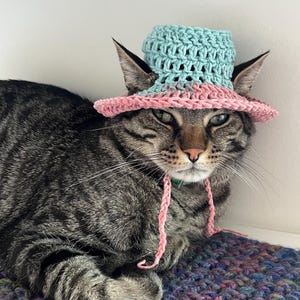 Crochet Pattern Summer Cat Bucket Hat Easy Beginner Crochet Cat Hat ...