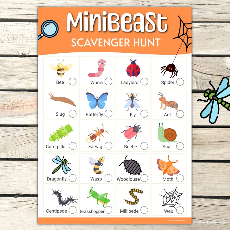 Minibeast Scavenger Hunt Printable, Insect Checklist, Camping Activity ...