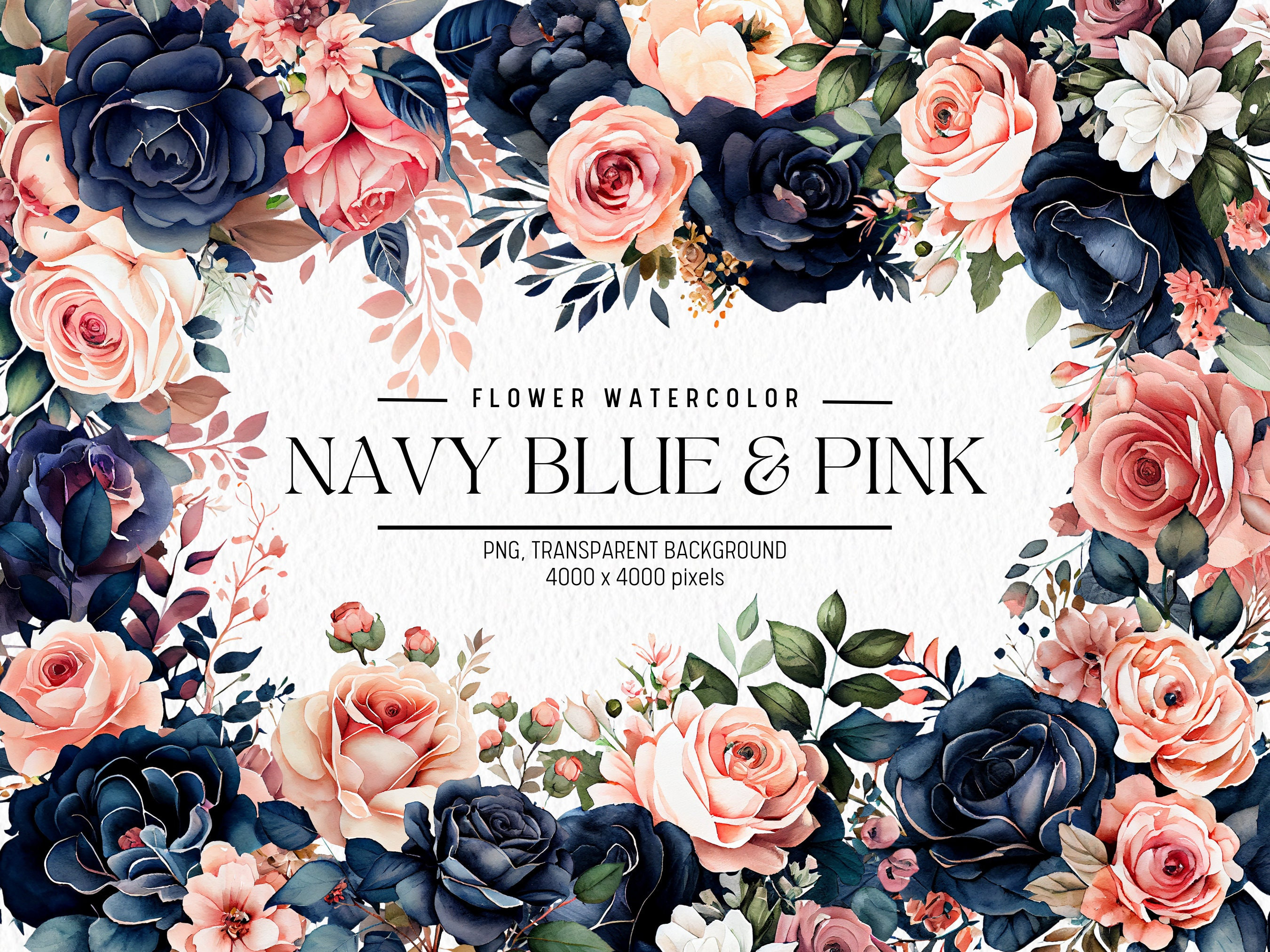 Watercolor Flower Clipart: Navy Blue & Pink Roses (PNG Digital Download ...