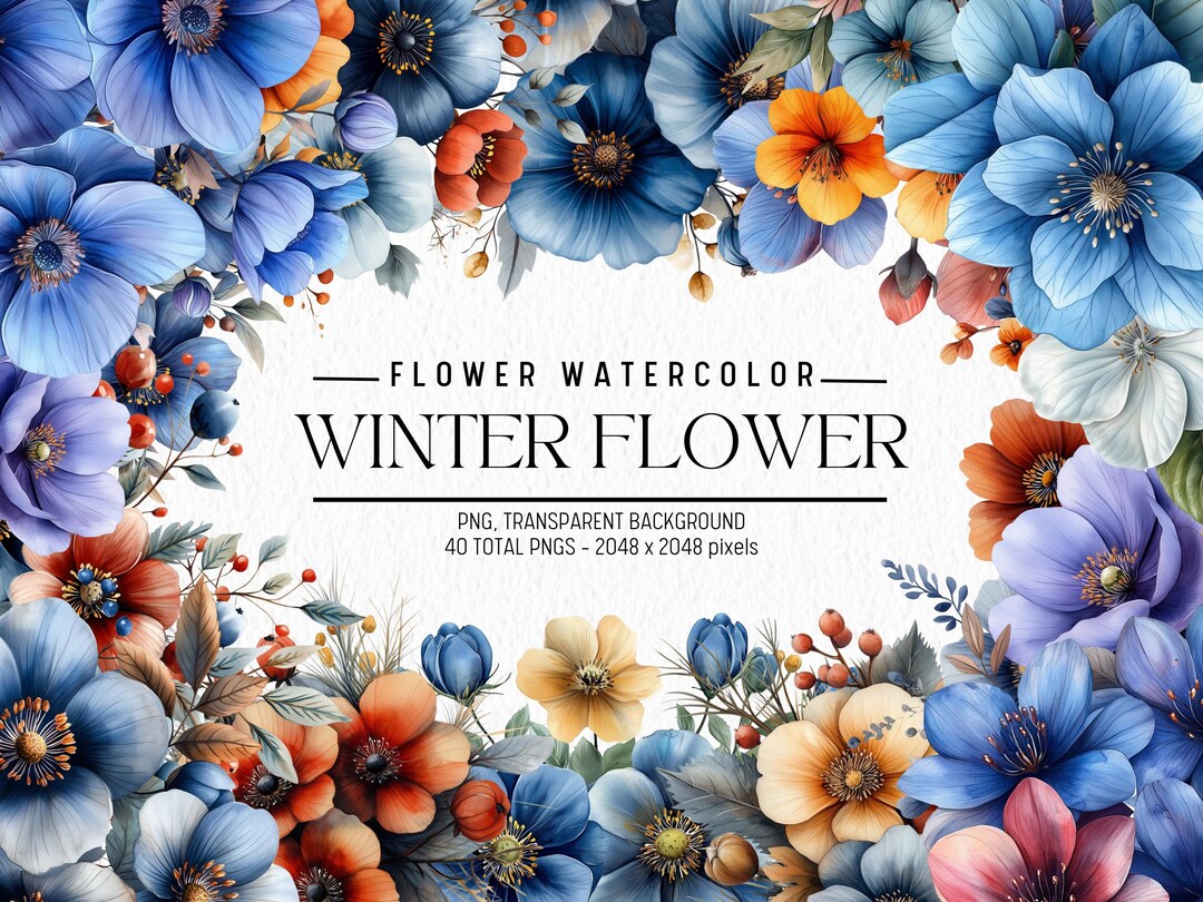 Watercolor Winter Flower Clipart Bundle: 40 PNG Files (commercial Use ...