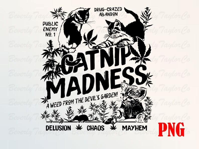 Catnip Madness Png Cute Cat Png Funny Cat Vintage Png Cat - Etsy