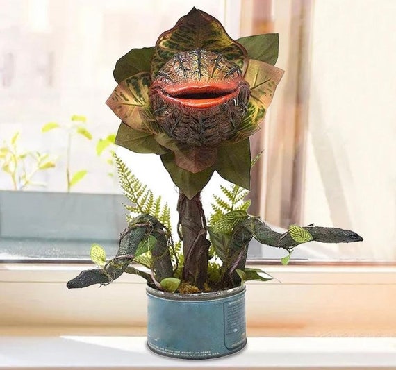 Baby Audrey Ii