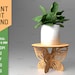 3D Plant Pot Stands Laser Cut Bundle, Potted Plant Stand, Flower Pot ...