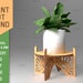 3D Plant Pot Stands Laser Cut Bundle, Potted Plant Stand, Flower Pot ...
